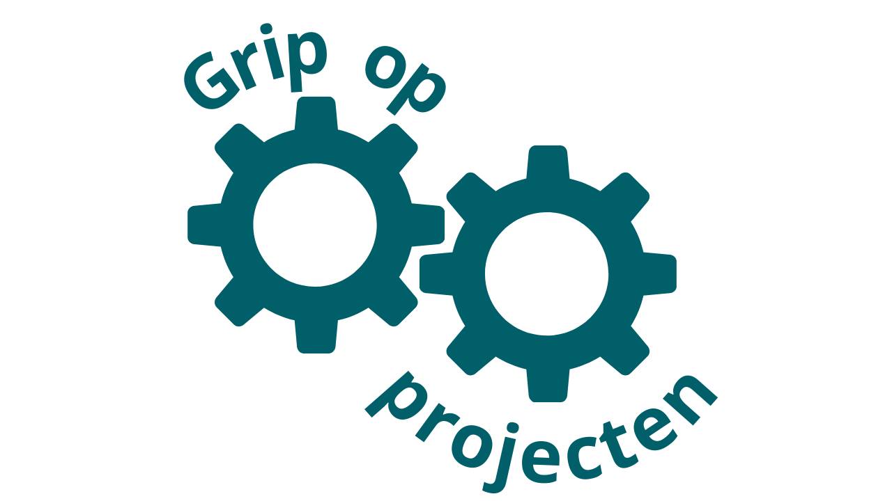 Grip op projecten, expert in projectorganisaties en projectmanagement.