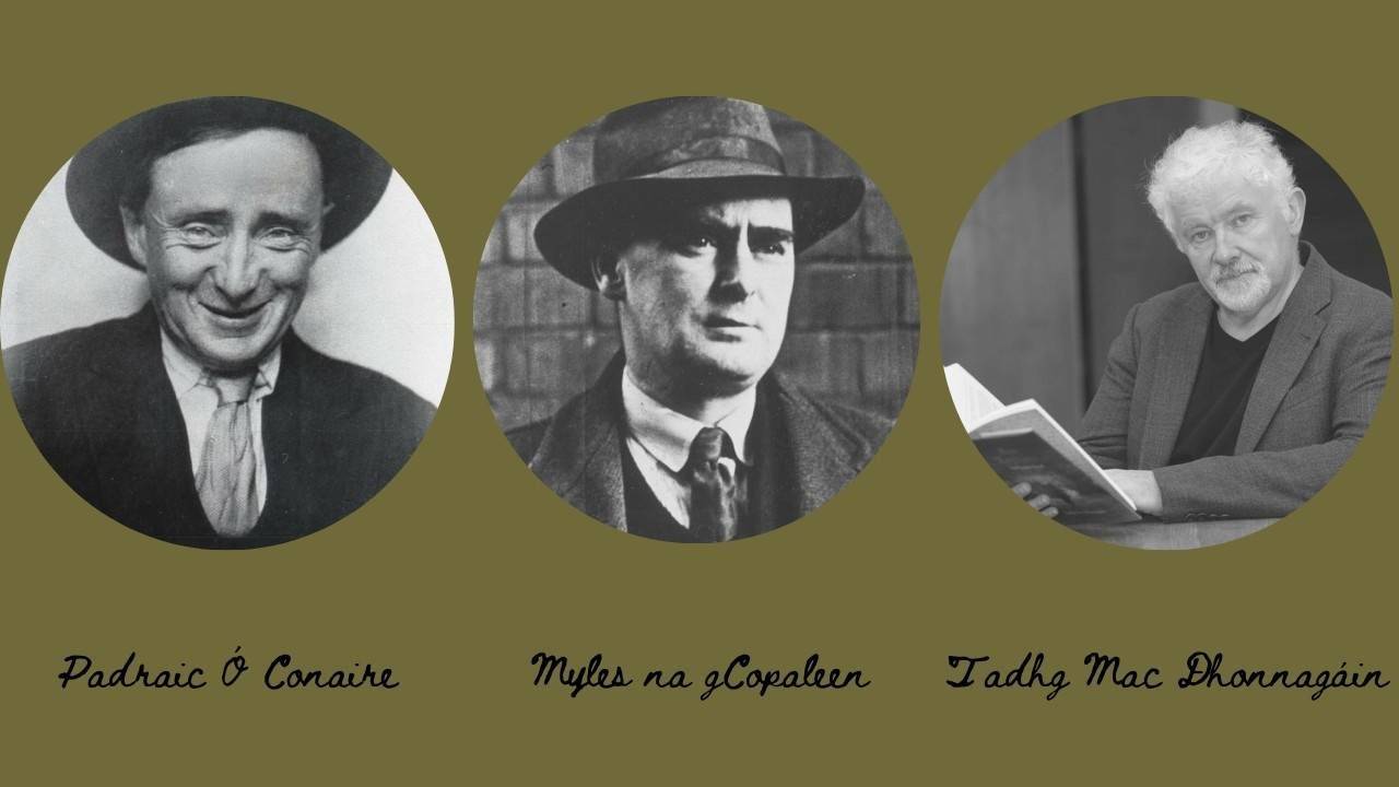 Learn Irish Through Literature