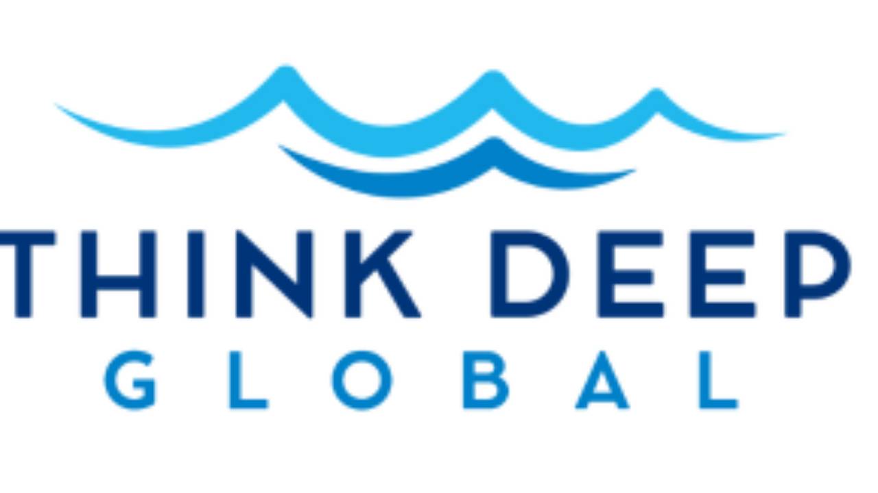 Think Deep Global - Guiding Entrepreneurs in Best Practices