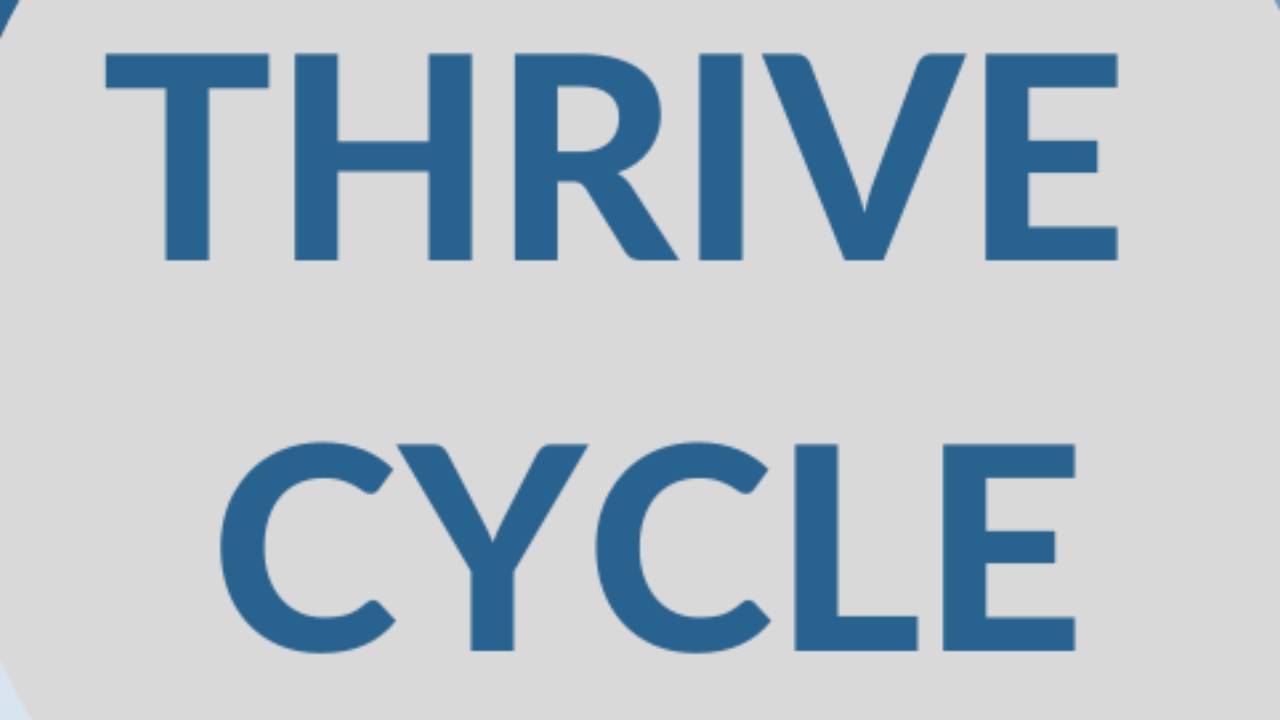 Implementing the "Execute" Phase in the Thrive Cycle