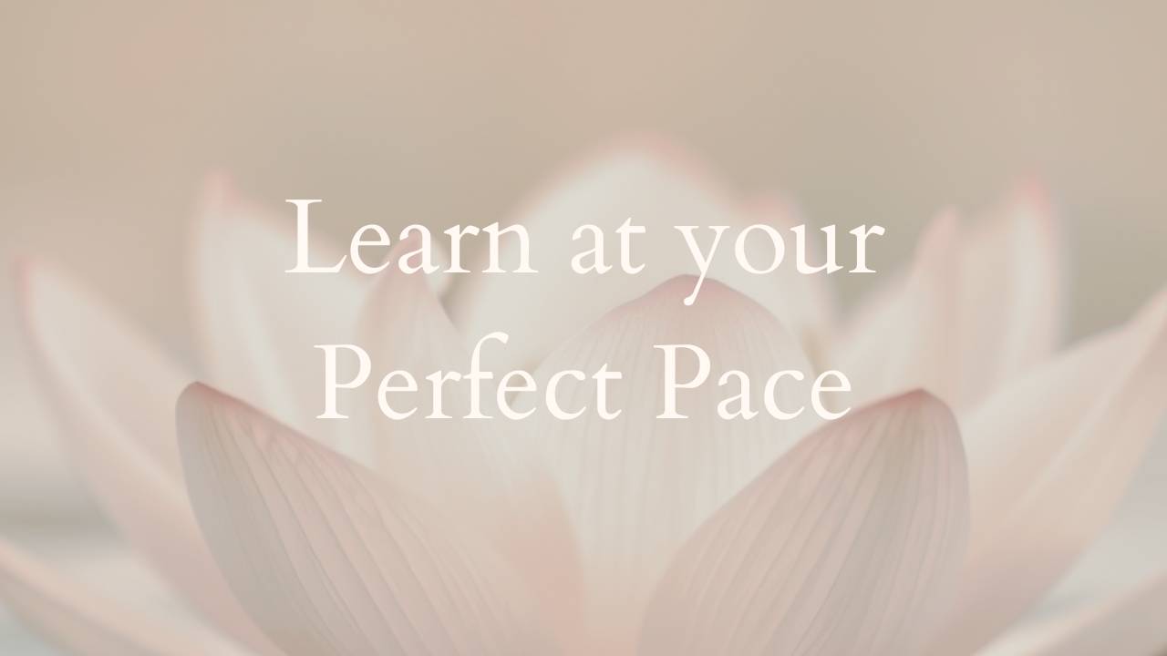 Learn at Your Perfect Pace: Professional Development Courses