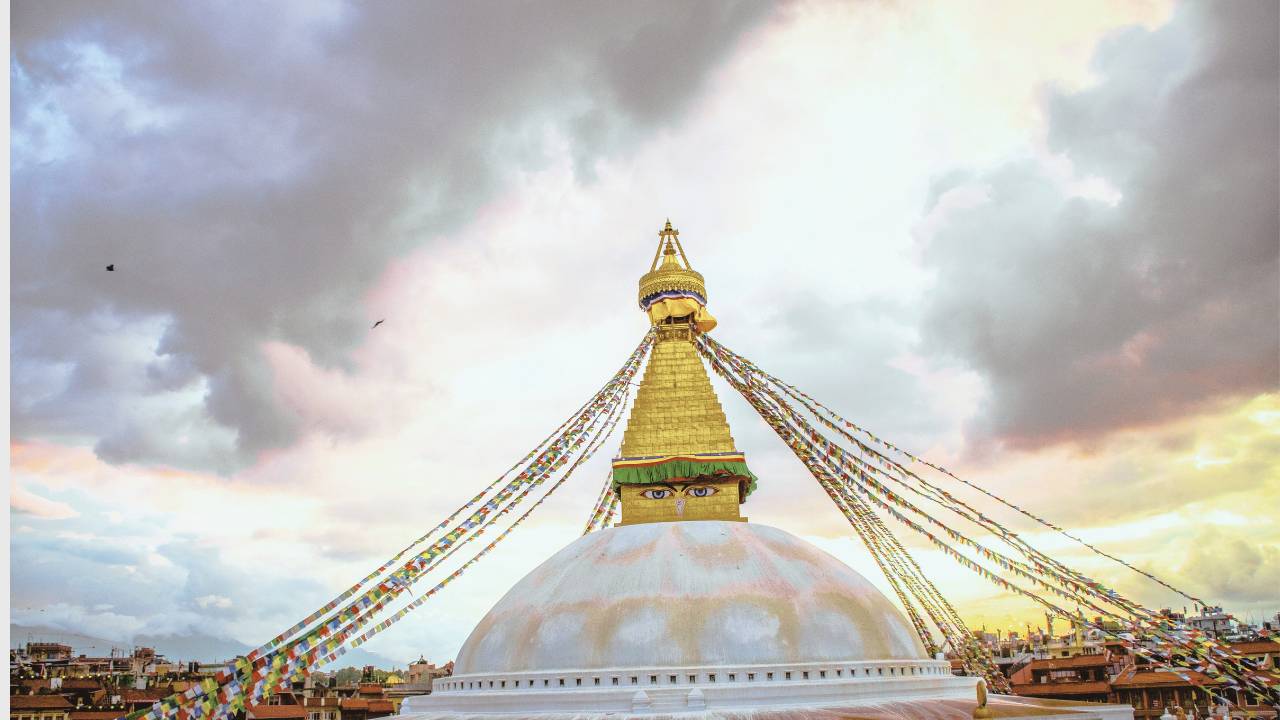 DNA-V & ACT Values Cards by Dr. Louise Hayes