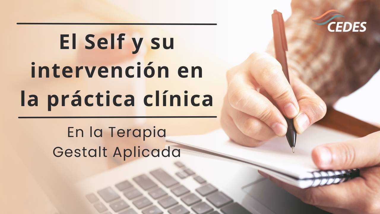 El Self y su Intervención en la Práctica Clínica