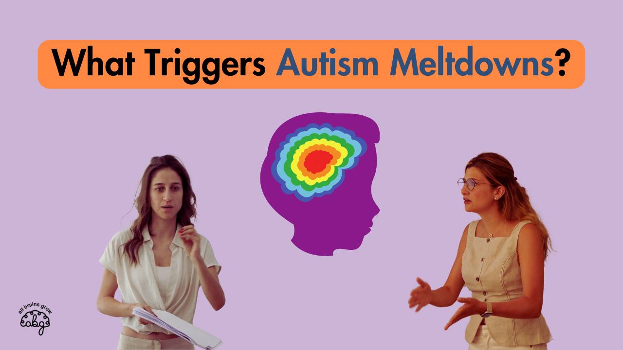 WHAT TRIGGERS AUTISM MELTDOWNS?