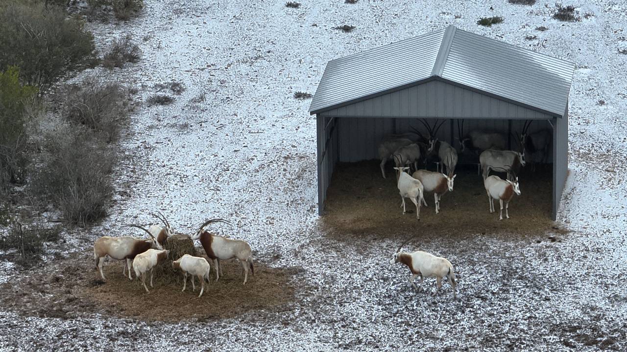 Cold Weather Prep for Native & Exotic Wildlife