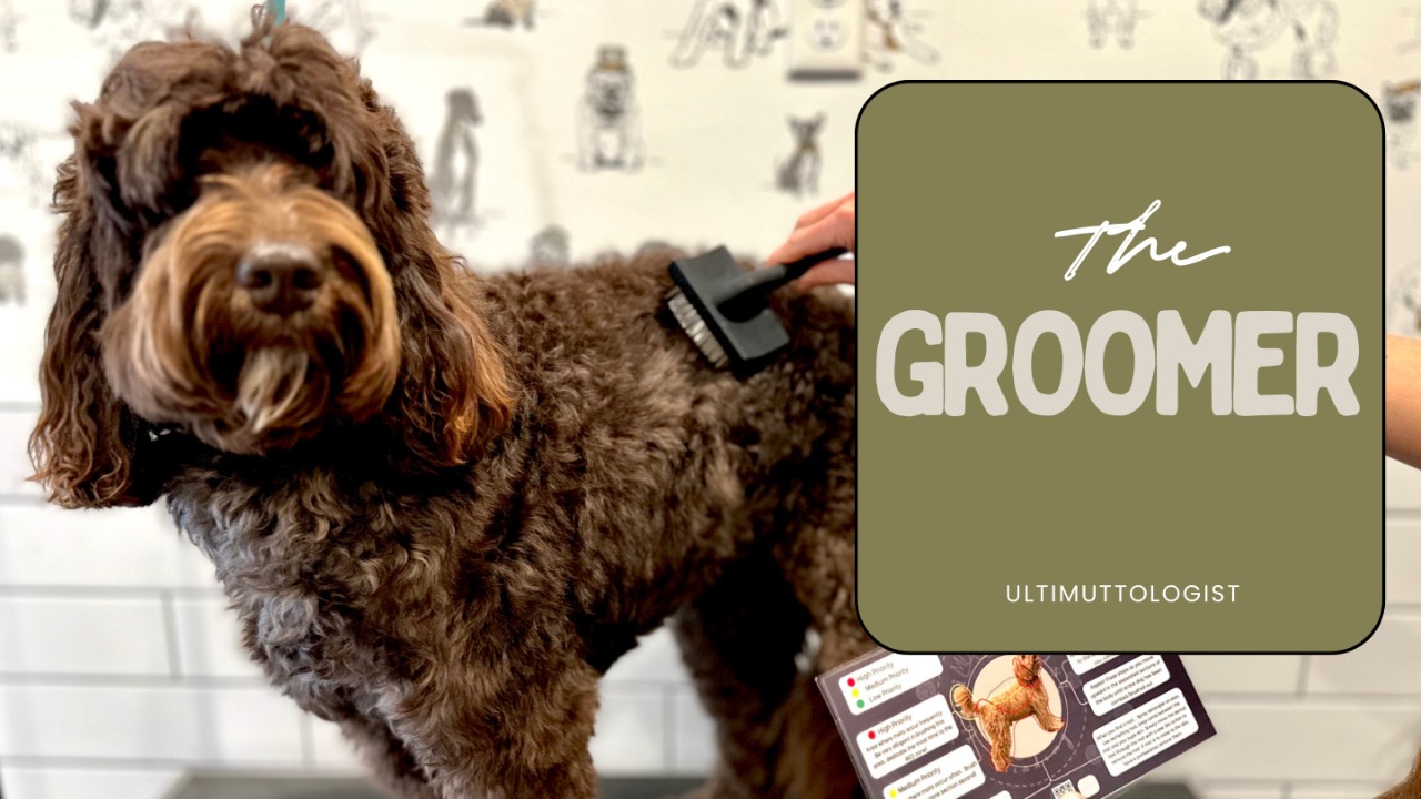 Groomer