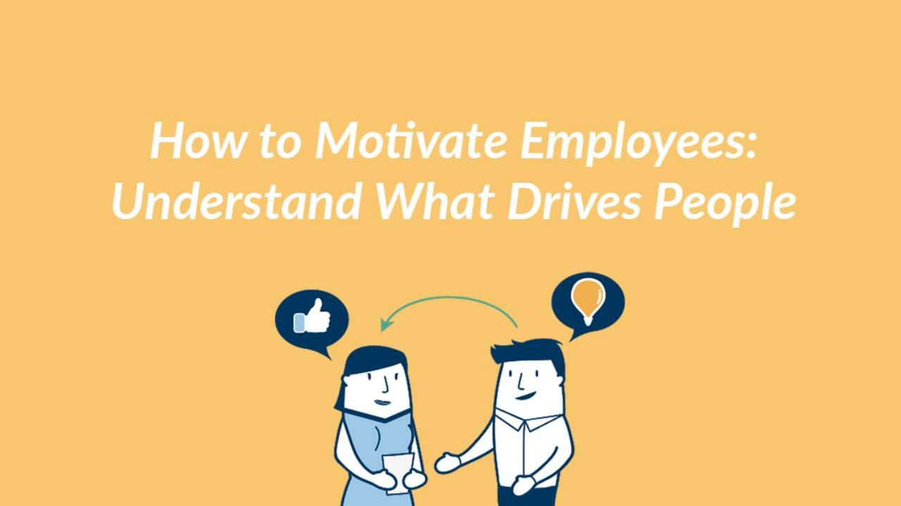 How to Motivate Your Employees: Know What Drives People
