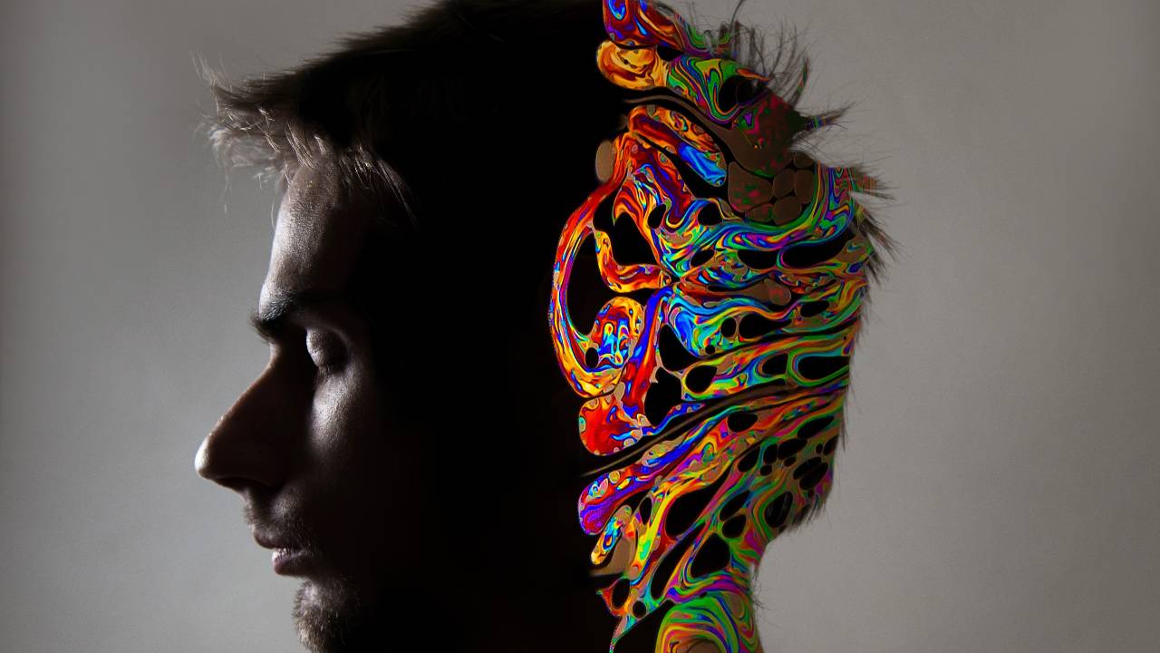 Psychedelics and Shadow Work: The Entourage Effect