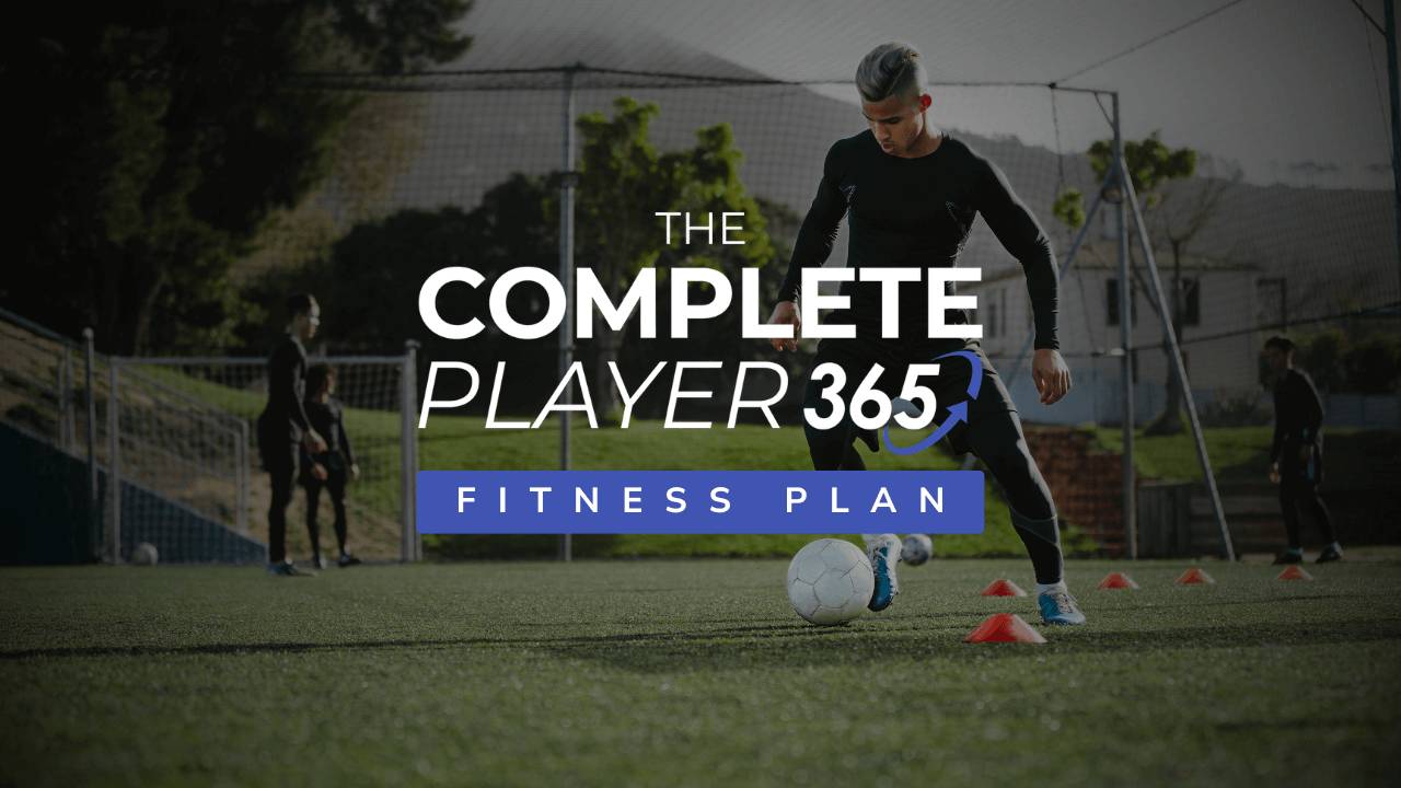 The Complete Player 365 | PlayerScout®