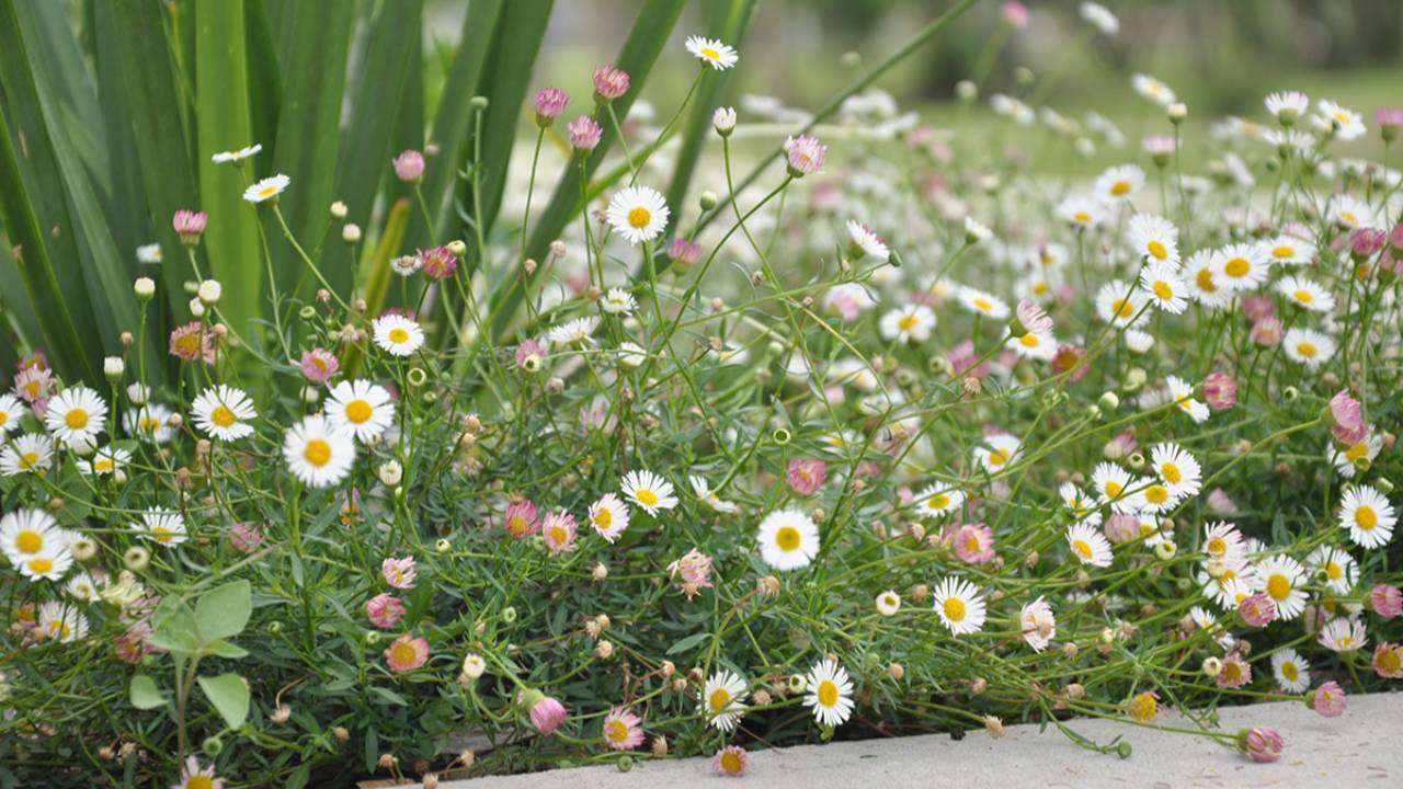 Canteros 360° | Programa