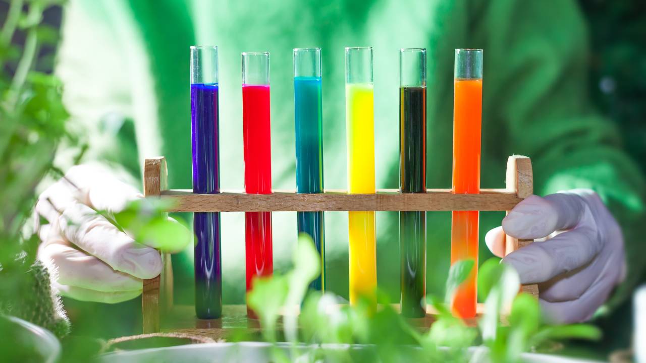 The Five Types of Innovation Experiments Every Team Should Run
