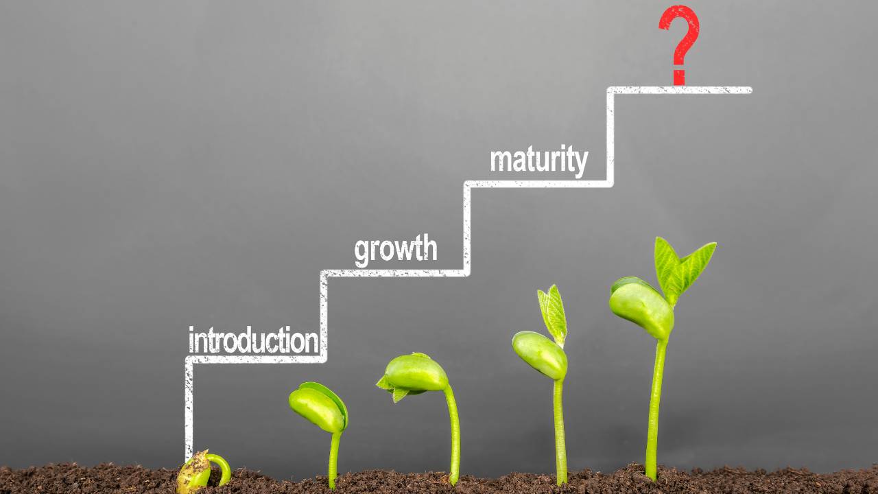 Building an Innovation Maturity Curve to Guide Long-Term Growth