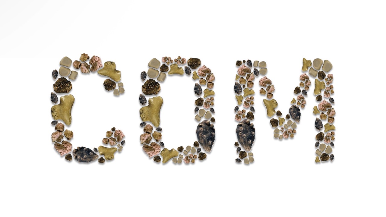 Understanding Calcium Oxalate Monohydrate Kidney Stones