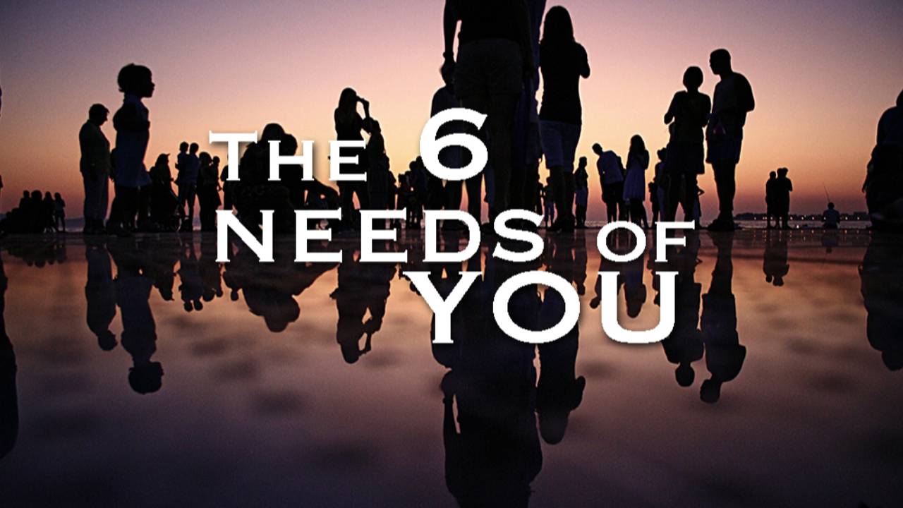 The 6 Needs Of You - Mark Fennell