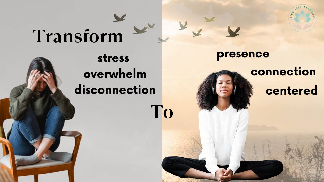 Liberated Learning Offerings