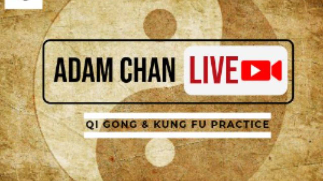 Adam Chan Livestream programs