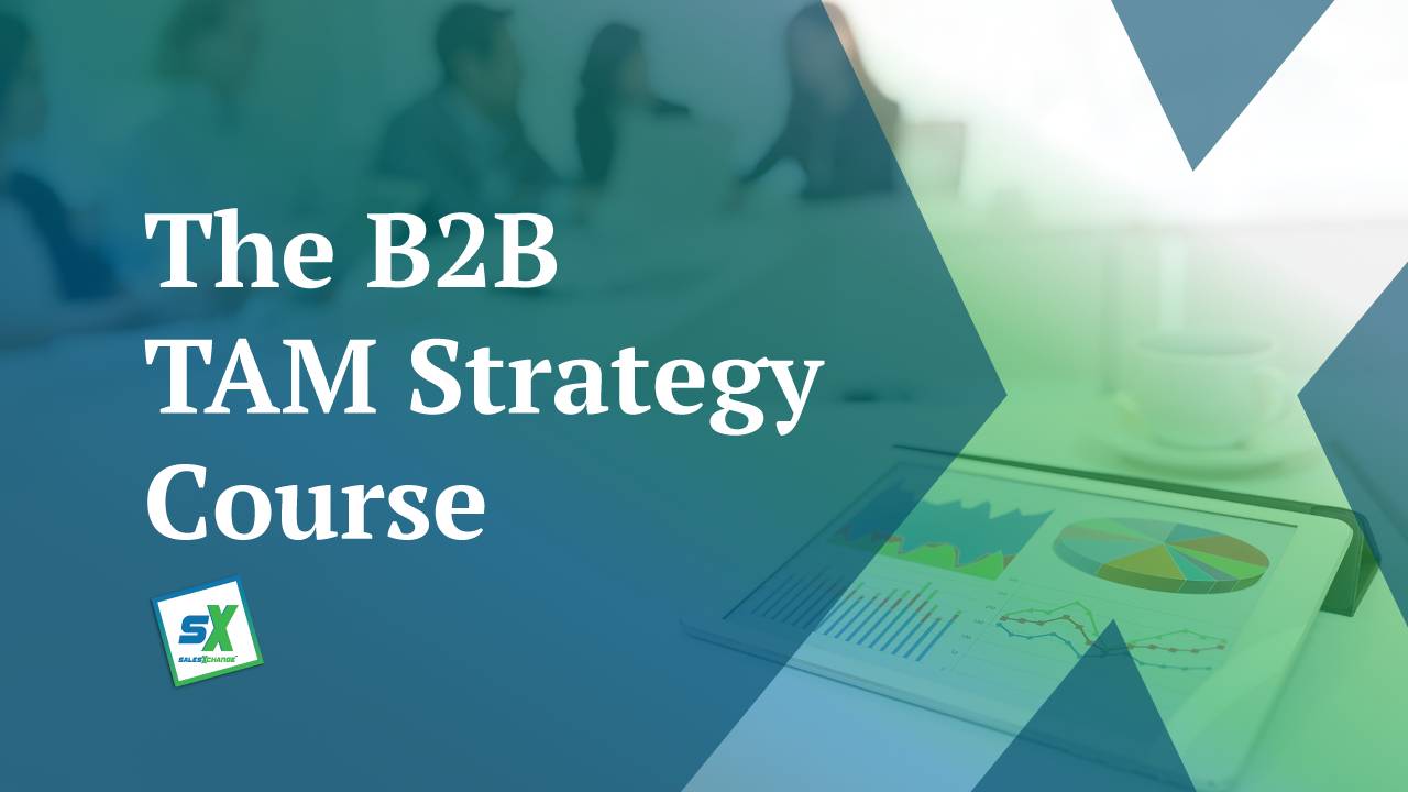 B2B TAM Strategy Course for GTM Teams | salesXchange Academy