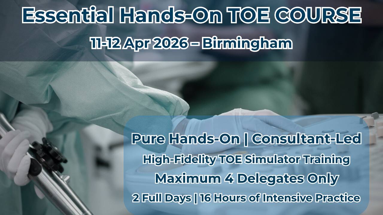 Essential Hands-On TOE Course