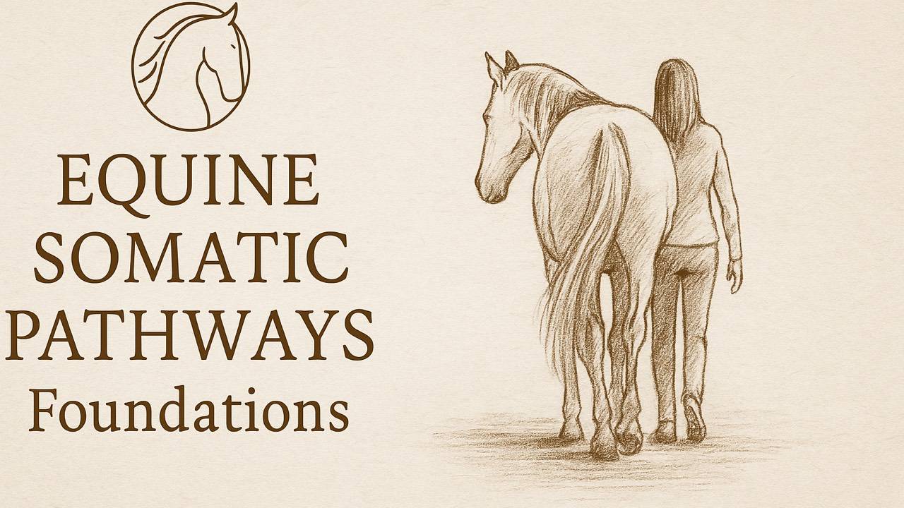 Equine Somatic Pathways: Foundations