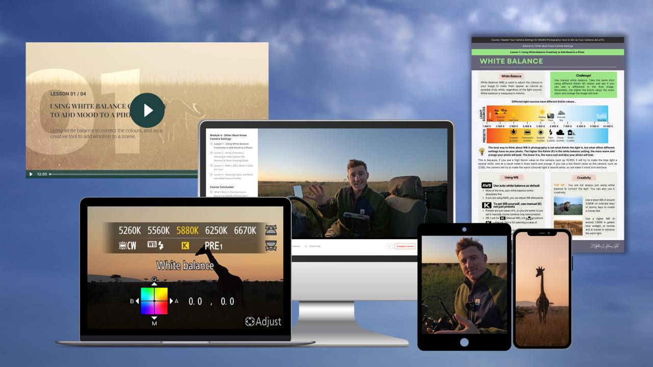 White Balance in Wildlife Photography - Cheat Sheet & Lesson