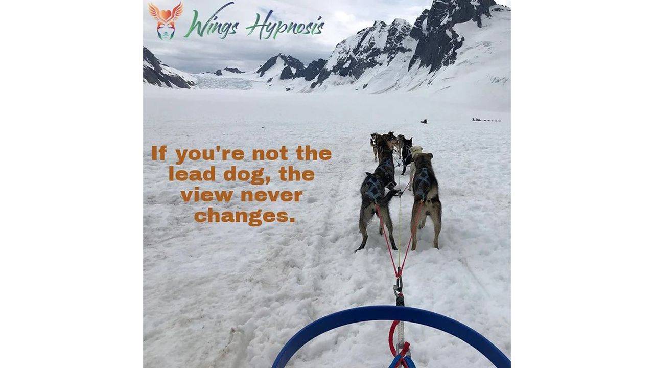 If you're not the lead dog, the view never changes.