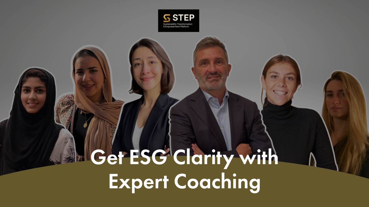 ESG Coaching for Companies – 1:1 Support & Strategy