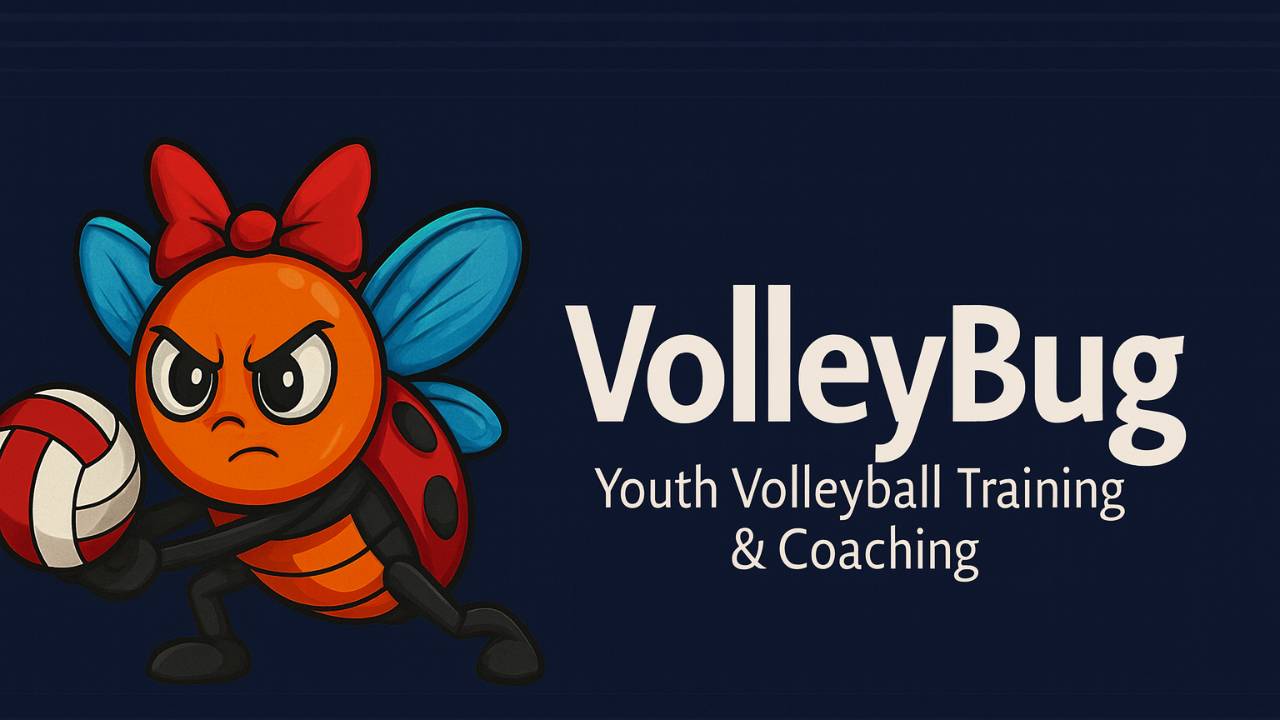 VolleyBug | Youth Volleyball Training & Coaching