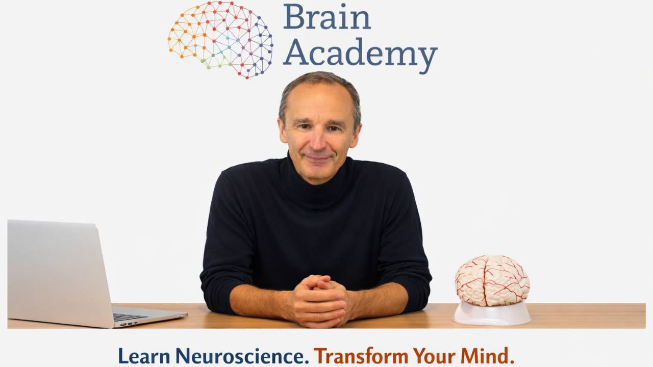 Brain Academy Blog | Neuroscience and Brain Coaching Insights