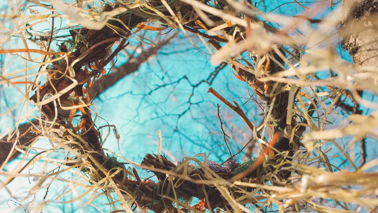 What is the Irish Pagan Religion Called?