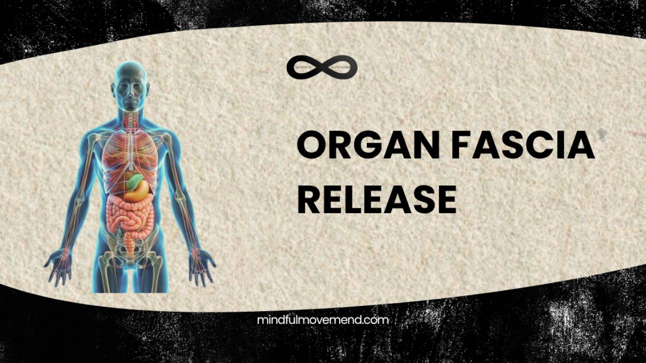 Organ Fascia Release | Somatic Healing Course
