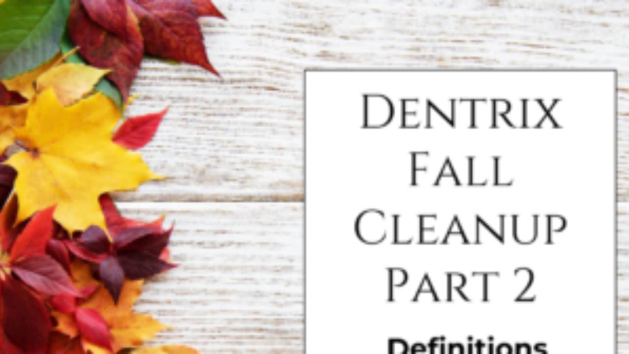 Dentrix Database Cleanup Part 2 – Definitions