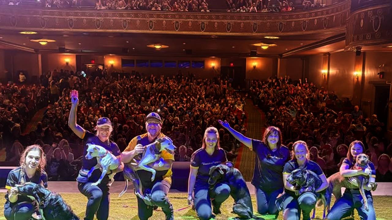 Canine Stars Stunt Dog Show Theatre & Performing Arts Act