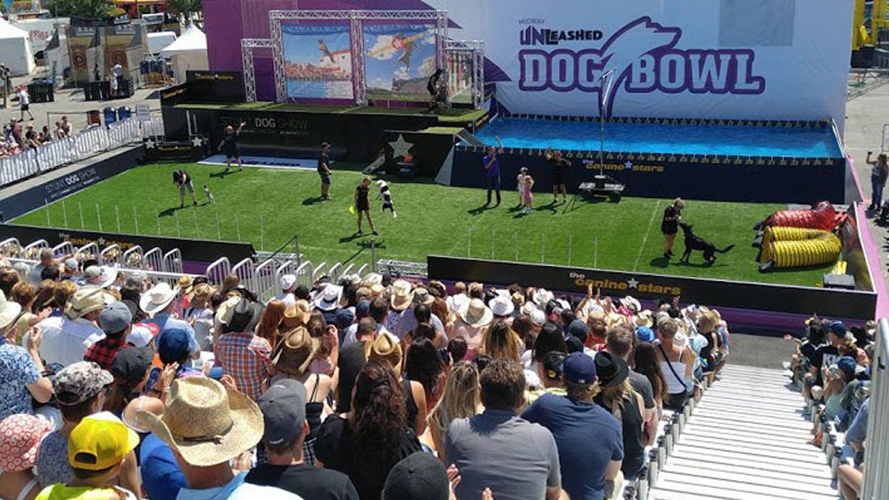 Fair & Expo Ground Act | The Canine Stars Stunt Dog Show