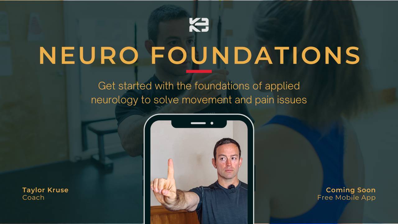 Neuro Foundations: Beginner Neuro Course