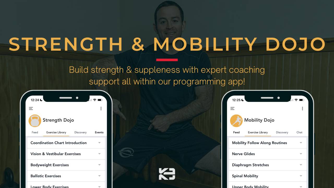 Structured Strength & Mobility Program