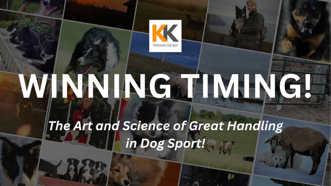 Winning Timing for Dog Handlers