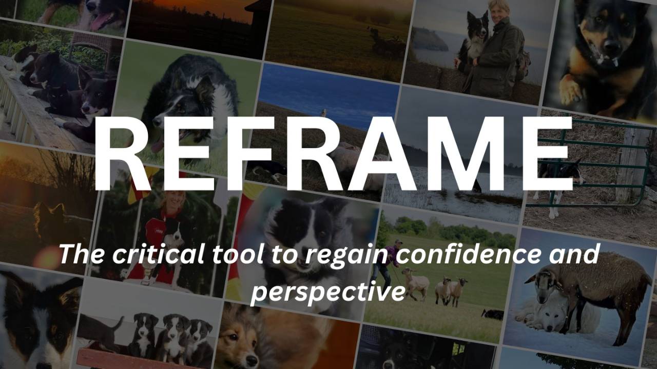 Reframe - The Ultimate Tool to Reset Confidence and Perspective