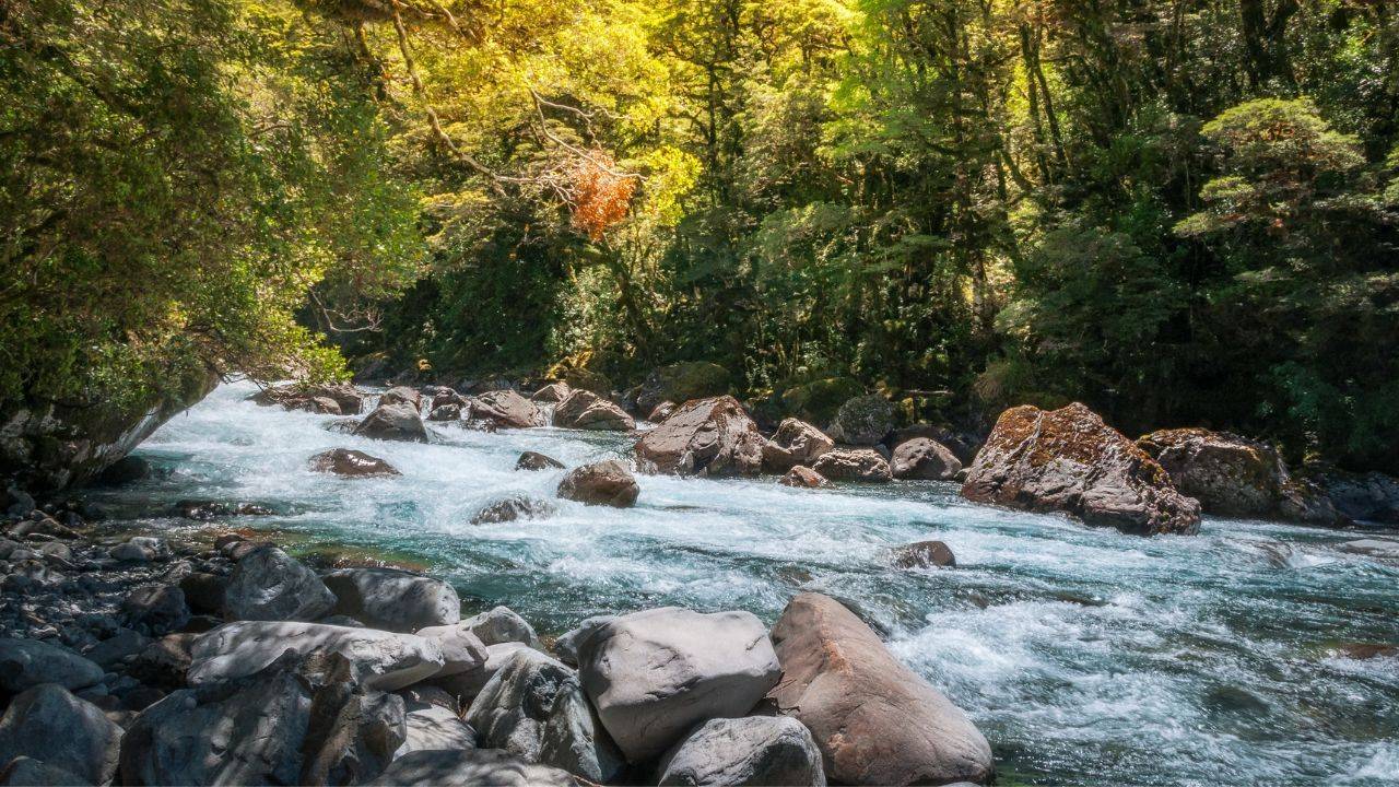 Let it Flow!