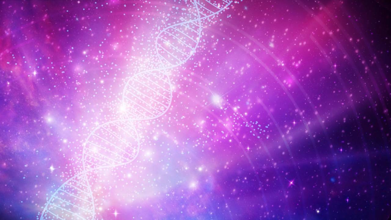 What is The Great Human Evolution?