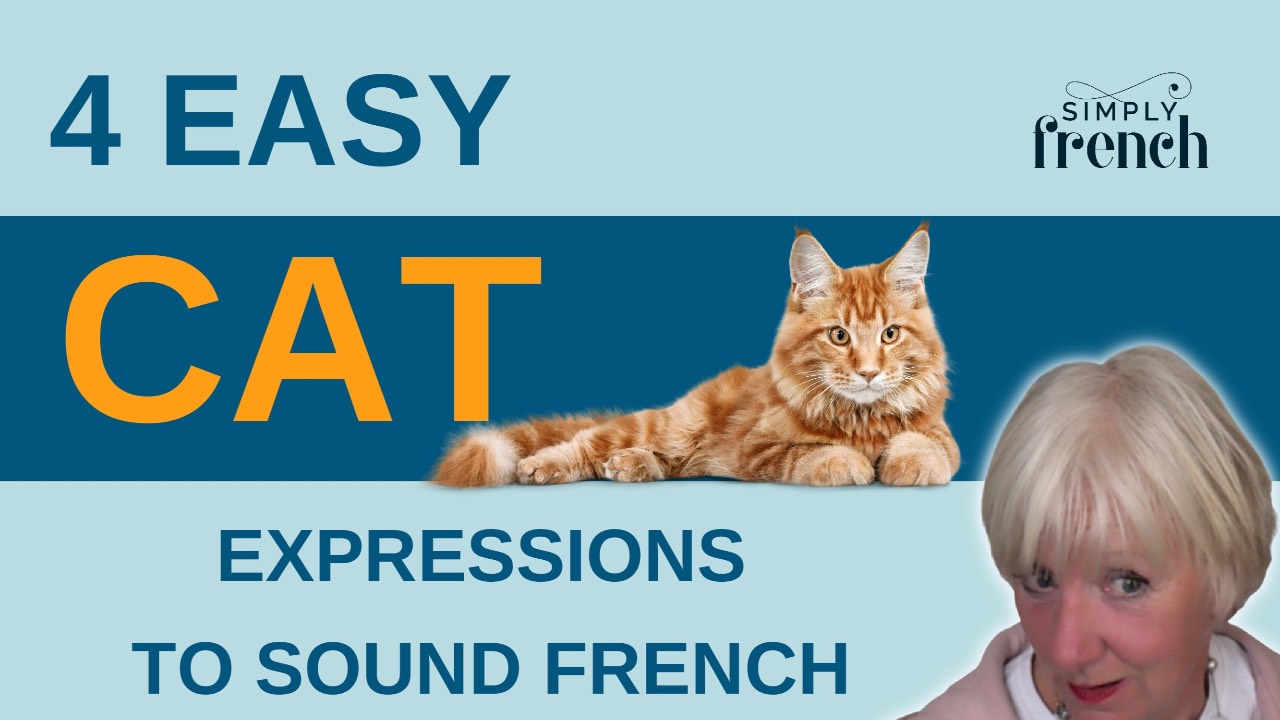 4 easy cat expressions to sound French