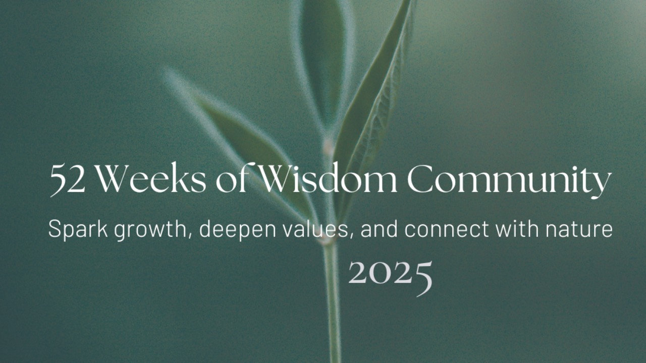 52 weeks with your wheel