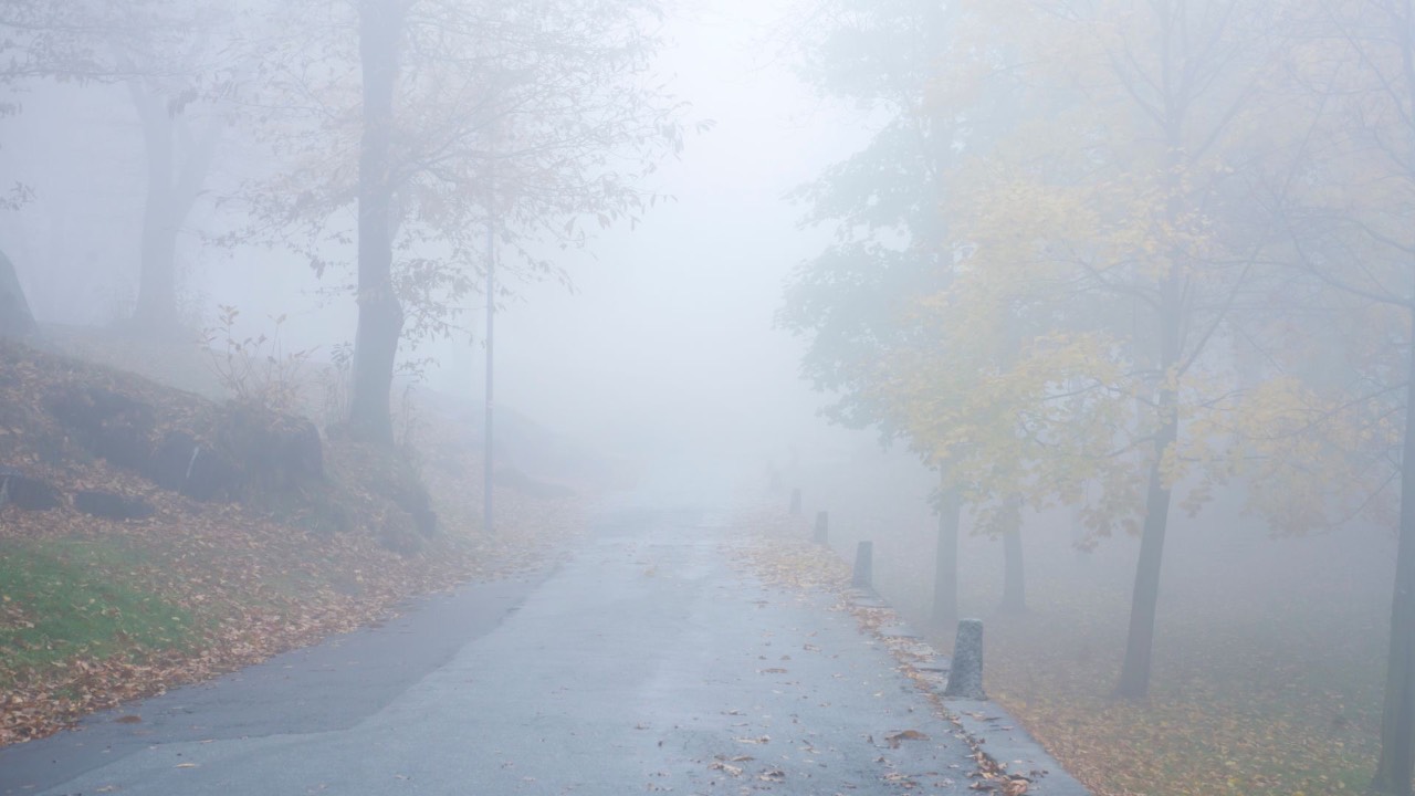 Moving through foggy times
