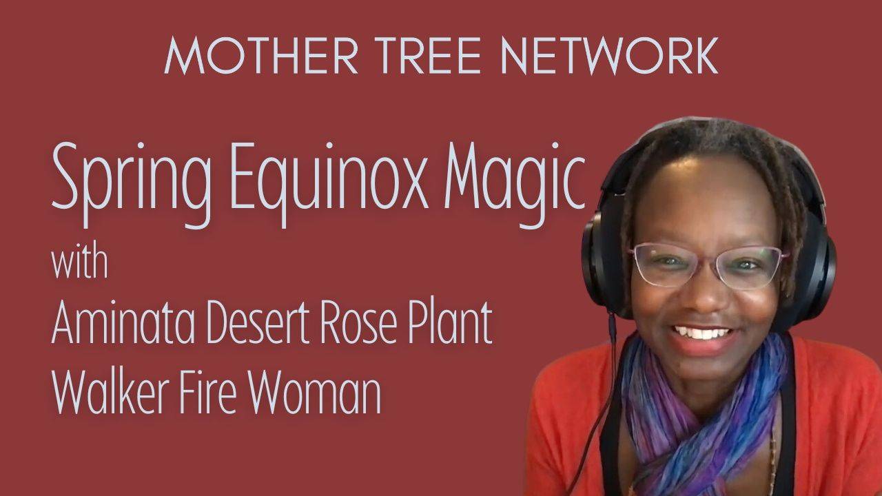 Spring Equinox Magic: Journey to Self-Trust | Mother Tree Network