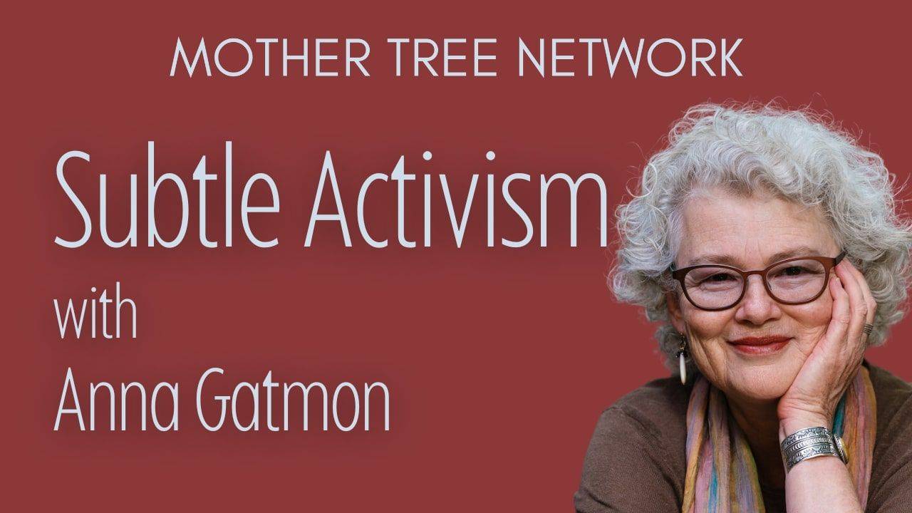 Subtle Activism for Peace and Justice in Gaza and Israel: Anna Gatmon