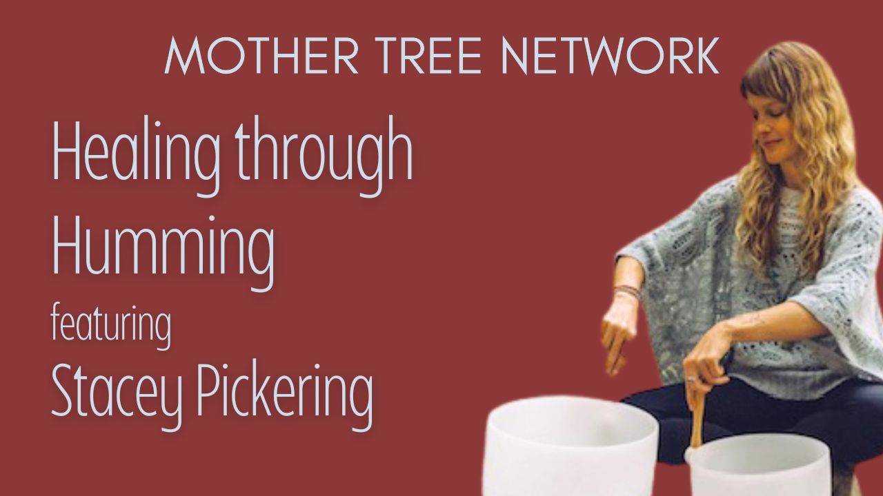 Healing through Humming with Stacey Pickering | Mother Tree Network