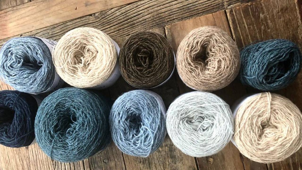 Discovering Your True Colors in Knitting