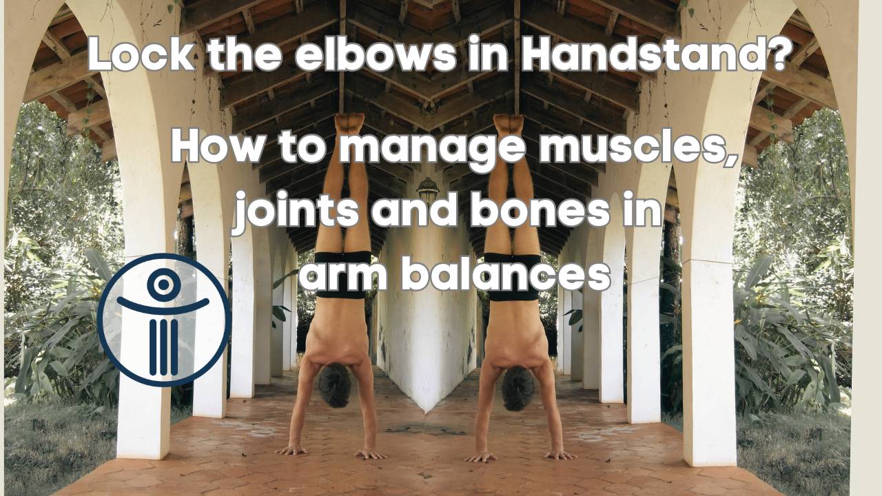 Should We Lock the Elbows? How to Use Arm Muscles in Elbow Extensions