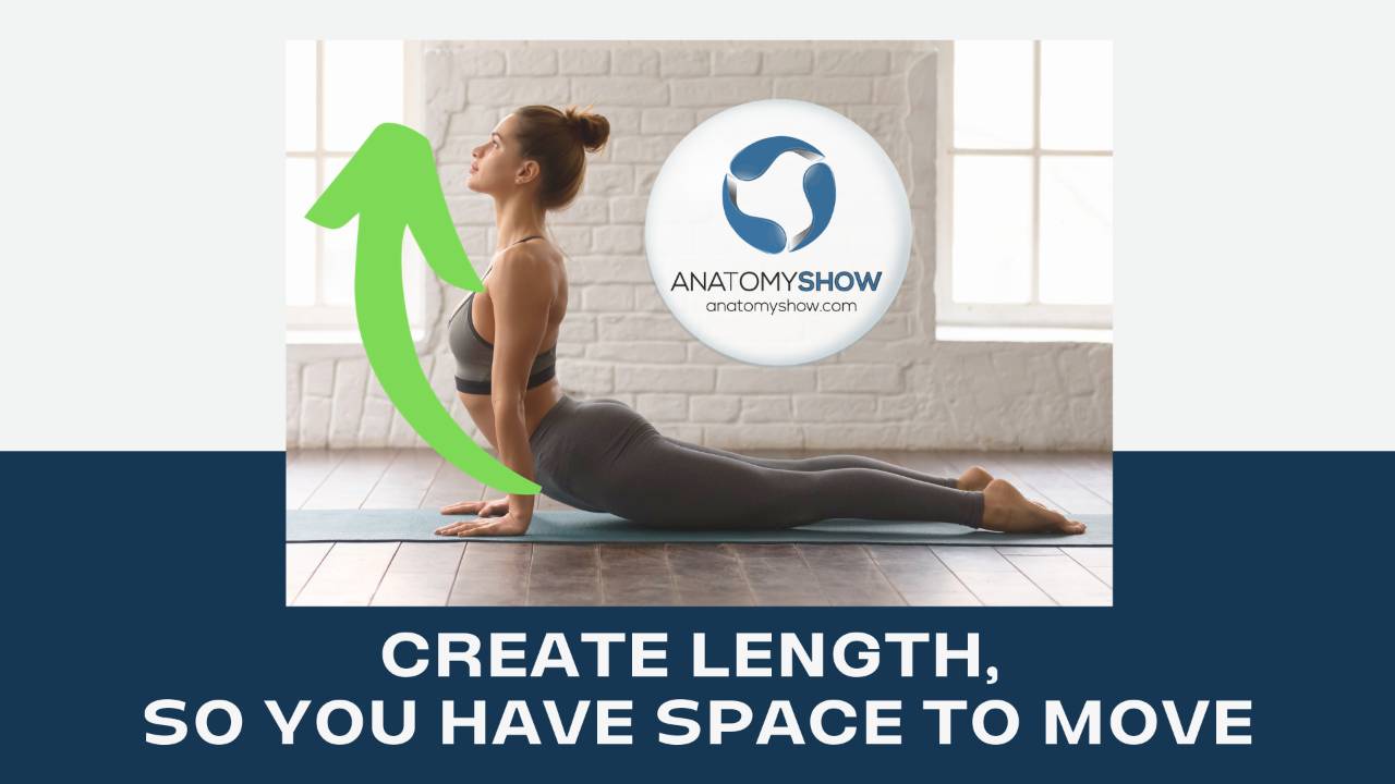 The Power of an Elongated Spine: Enhancing Back Bends in Yoga