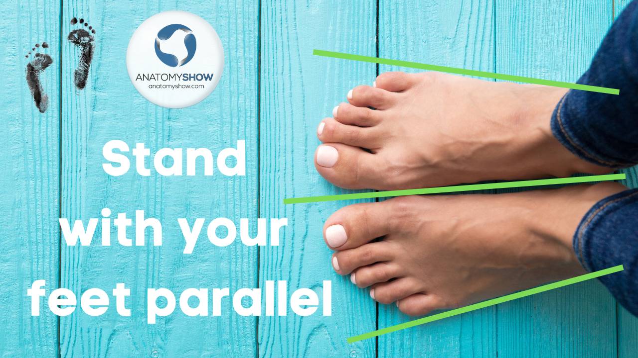 Is Standing with Your Feel Parallel Possible?