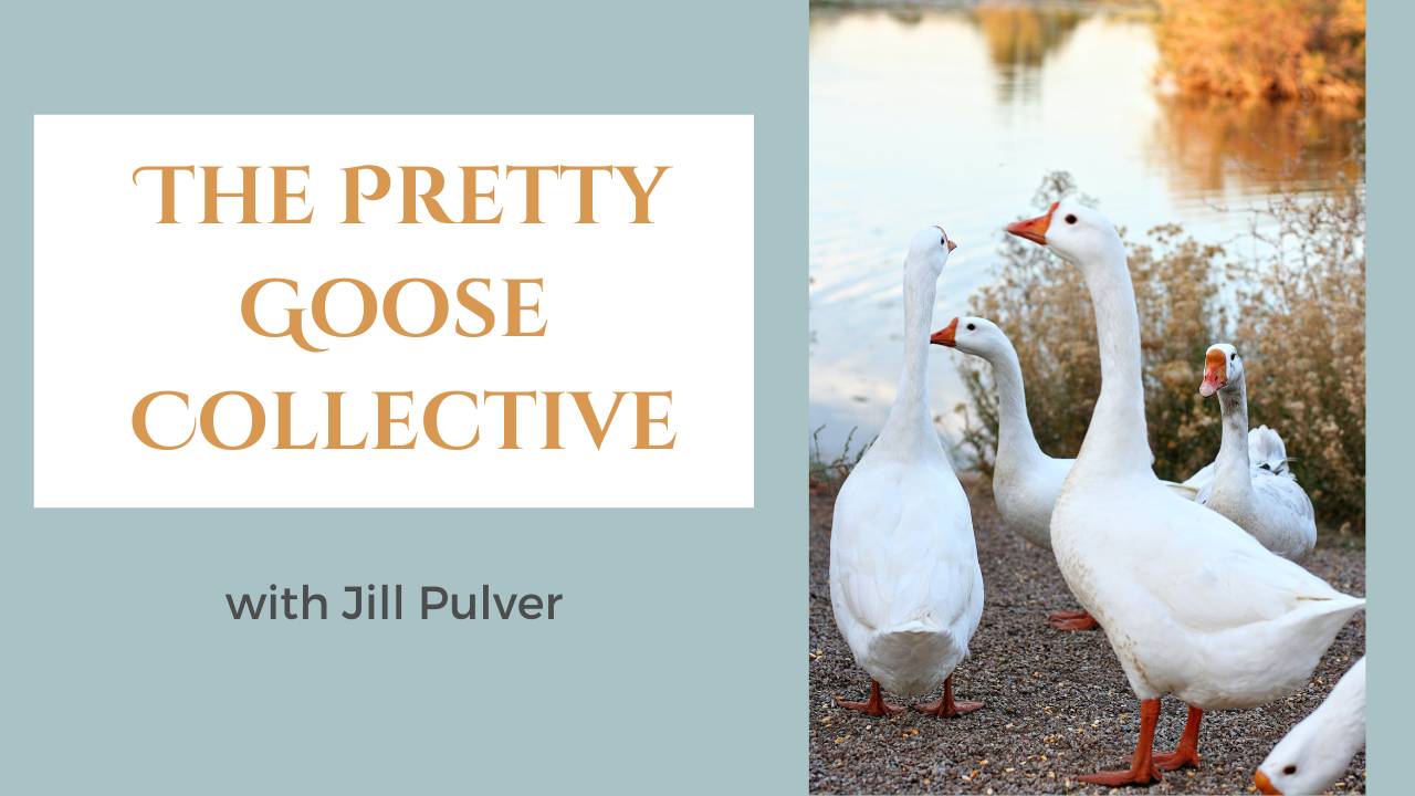 The Pretty Goose Collective